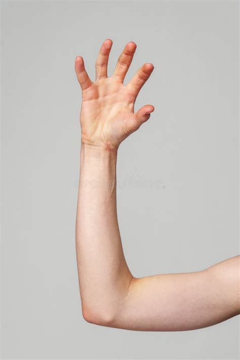 Elevated Bare Human Arm Bent At The Elbow Against A Neutral Background