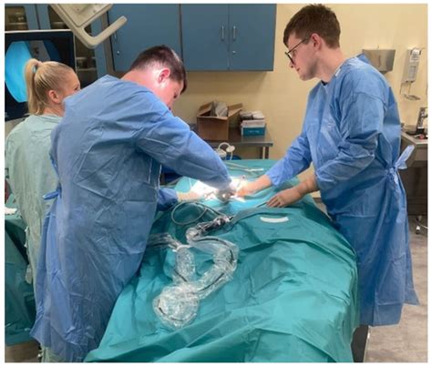 Videoautopsy—a Minimally Invasive Autopsy Method Using Endoscopic