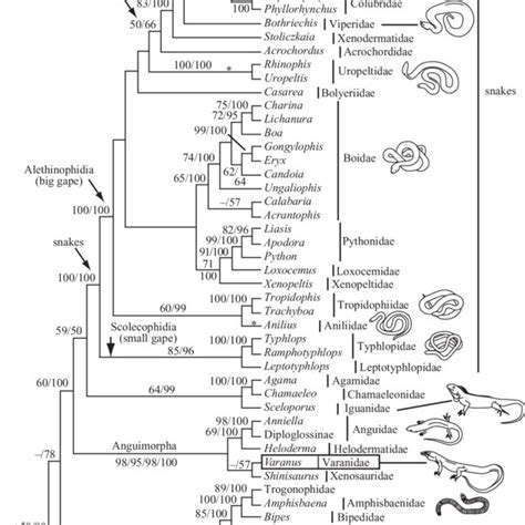 Caption Overleaf Download Scientific Diagram
