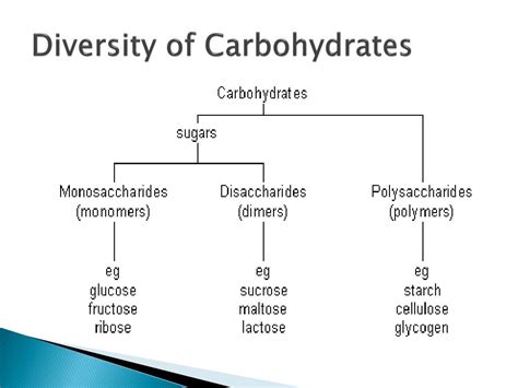 Ppt Carbohydrates Powerpoint Presentation Free Download Id6915963
