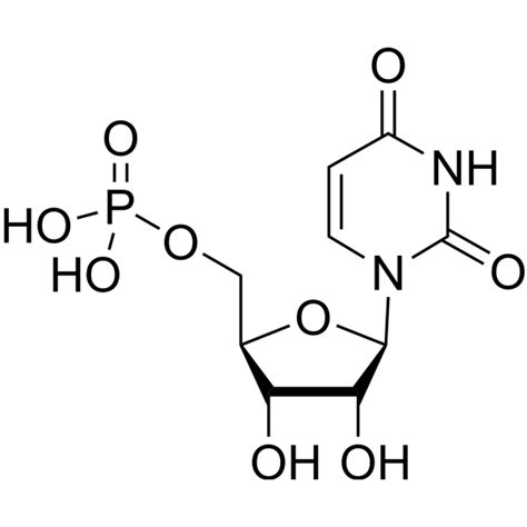 Uridine 5 Monophosphate 5 Uridylic Acid Nucleotide Analogue