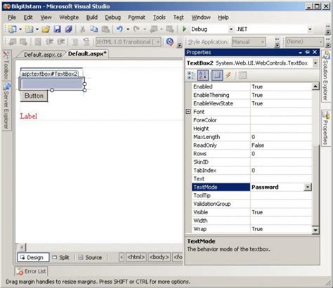 Aspnet Basit Bir Kullanıcı Girişi If Döngüsü Bilgiustam