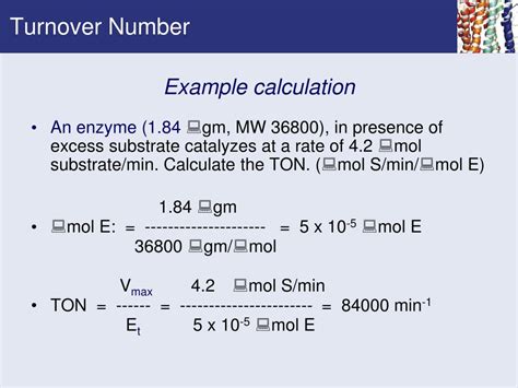 How To Calculate Turnover Number Of Enzyme