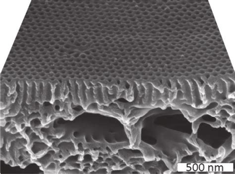 Integral Asymmetric Block Copolymer Membranes Obtained By Combination Download Scientific