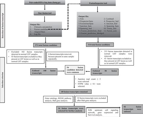 Flow Chart Representing The Selection Criterion Of Fusion Transcripts Download Scientific Diagram