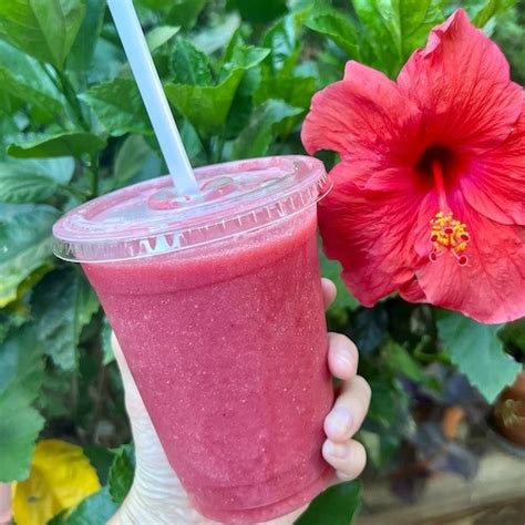 The Soup Peddler South Lamar Chicken Soup With Rice