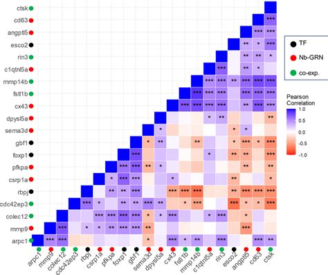 Correlation Analysis Reveals Significant Positive Or Negative