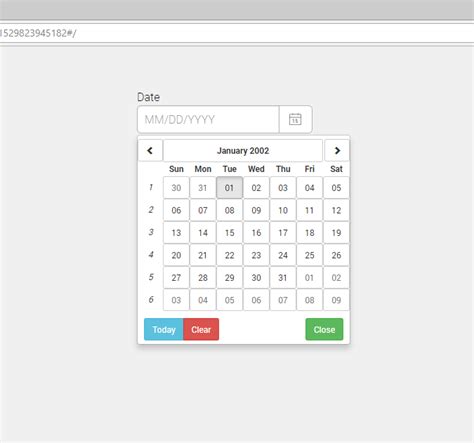 Can I Set A Default Year In My Date Date Time Picker