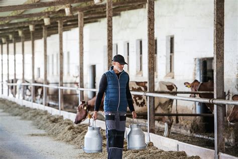일기 농장 농업 산업에서 일하는 캔을 가진 성숙한 남자 노동자 사진 Unsplash의 종업원 이미지