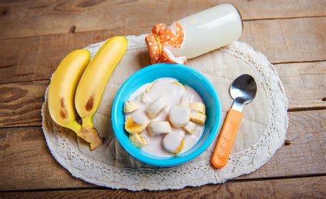 Sinbiyotik Nedir? | İlk Adımlarım