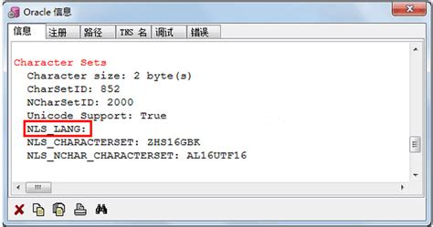 Plsql Developer教程：解决oracle服务器端和客户端字符编码不一致问题 Plsql Developer系列教程 慧都网