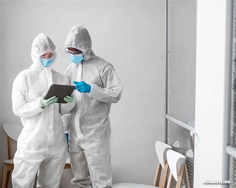 Lead Abatement Techniques Safe Removal And Mitigation Exit Mold