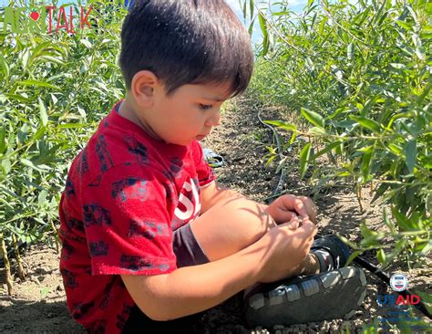 სანერგე მეურნეობა ქიწნისი