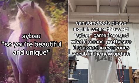 What Does Sybau Mean The Viral Slang Term Taking Over Tiktok