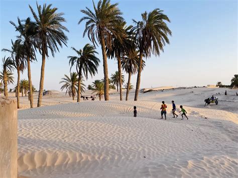Sahara Desert In Tunisia A Complete Guide Djerba Booking
