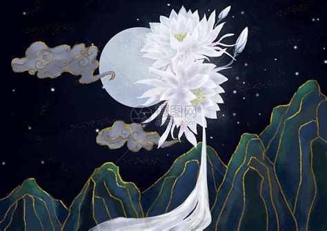 昙花插画图片下载 正版图片401469961 摄图网