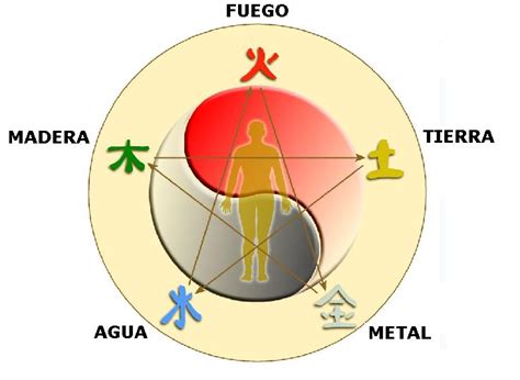 Adhara Yoga La TeorÍa De Los Cinco Elementos