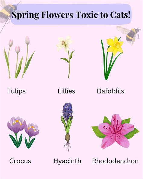 All Did You Know March 16 22 Is National Poison Prevention Week With