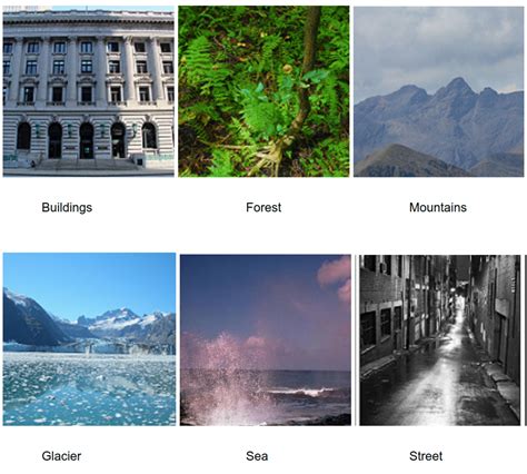 Diy Squeezenet Nicholas Lim