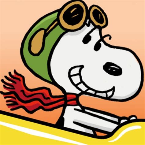 Snoopy Ww 1 Flying Ace Flying Ace Snoopy Snoopy Snoopy Love