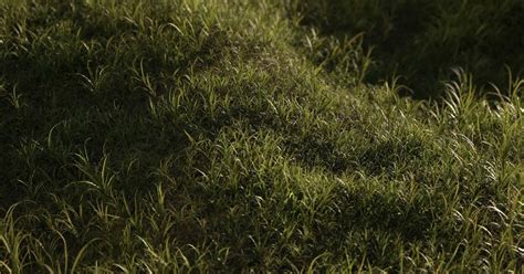 How To Make Realistic Grass For Dioramas Storables