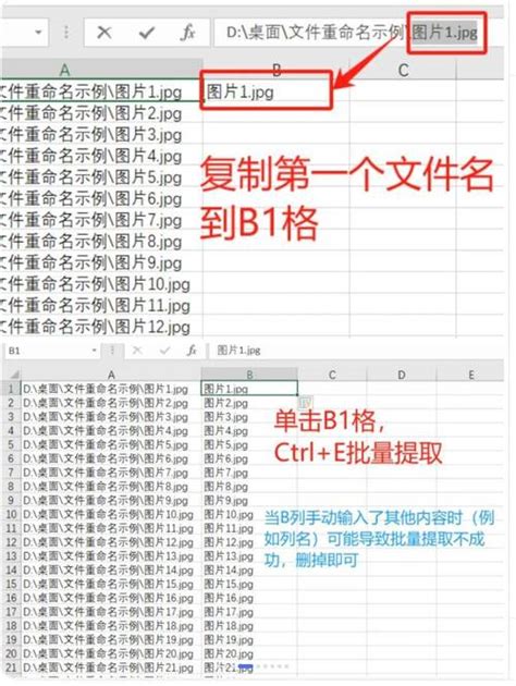 Linux Rename命令:批量重命名文件的实用工具,基本语法与使用示例 Linux命令大全手册 Linux Rename命令:批量重命名文件的实用工具,基本语法与使用示例 Linux命令大全手册