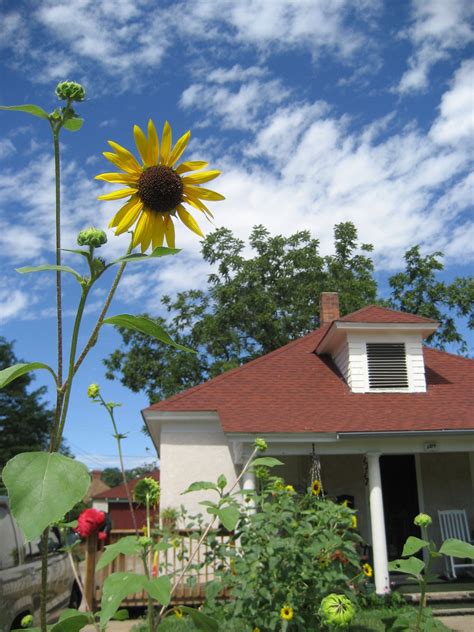 Dannyman Toldme Com March