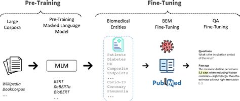 Figure 1 From Boosting Low Resource Biomedical Qa Via Entity Aware Masking Strategies Semantic