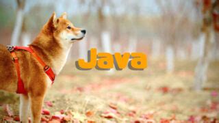 Javaで配列の要素要素数を取得する方法 length コードライク