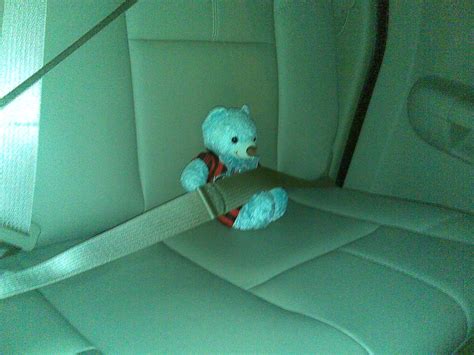 هذا دبدوب العاشق محمــــد Flickr