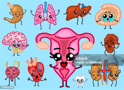 귀여운 오르간 행복 한 사람 웃는 문자의 집합입니다 벡터 핀 만화 귀 엽 다 아이콘입니다 건강 한 심장 위 간 방광 자 궁 기관 폐 신장 담 낭 소장 췌 장 및 뇌 0명에