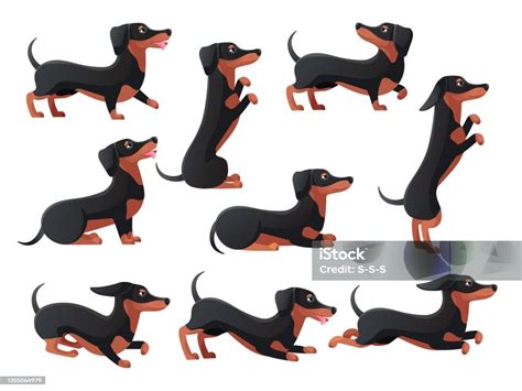 다우순드가 포즈를 취하고 있다 만화 닥샌드 개 캐릭터 포즈 혈통 품종 Daushunds 사냥개 포즈 점프와 긴 소시지를 실행 플랫 아이콘 괜찮은 세트 벡터 일러스트