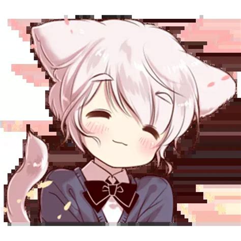Anime Cat Ears Boy