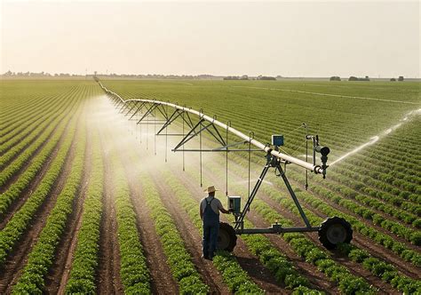 Simplified Irrigation Scheduling Estimating Evapotranspiration Without Direct Weather Data