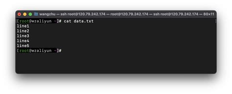 Linux三剑客(grep、awk、sed)超详细版awk Sed Grep Csdn博客 Linux三剑客(grep、awk、sed)超详细版awk Sed Grep Csdn博客