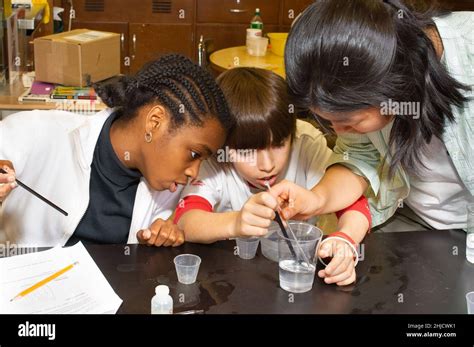 Education Elementary Or Middle Babe Grade 6 Science Class DNA Extraction Babe And Two Girls