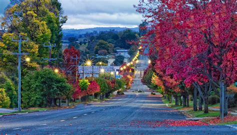 Autumn Gallery Walcha Nsw