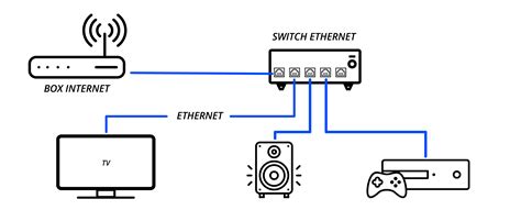 Comprendre Le Câblage Ethernet Câble Filtre Et Switch Réseau