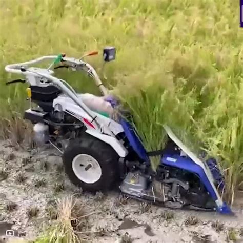 devender reddy posted on linkedin