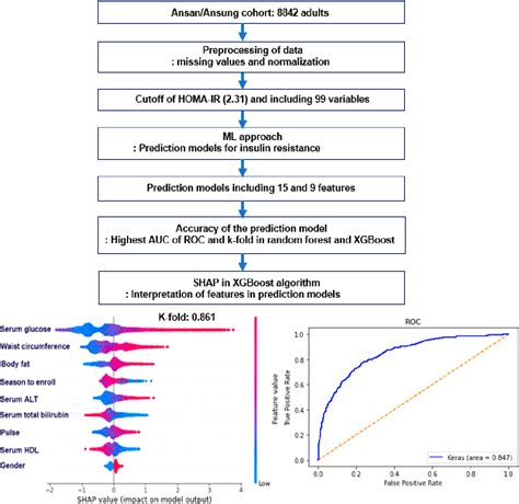 Figure 1 From Development And Validation Of An Insulin Resistance Predicting Model Using A