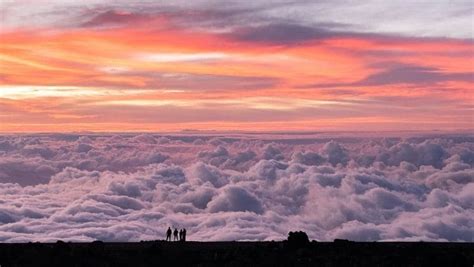 Building Cross Platform Apps With Net Maui Ctos Guide