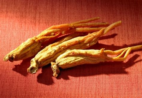 韩国红参的功效与作用 Korean Red Ginseng Youngs Goods