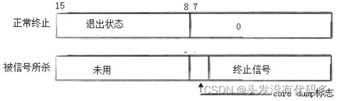 Linux——进程控制1再谈fork（）fork常规用法和调用失败原因进程终止main函数返回值exit和exit相同点不同点 总结 进程等待（下） 阿里云开发者社区