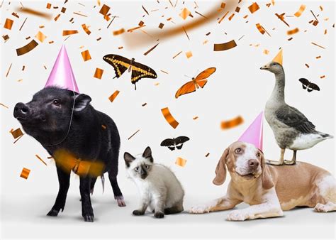 Cute Group Animals Pictures Freepik