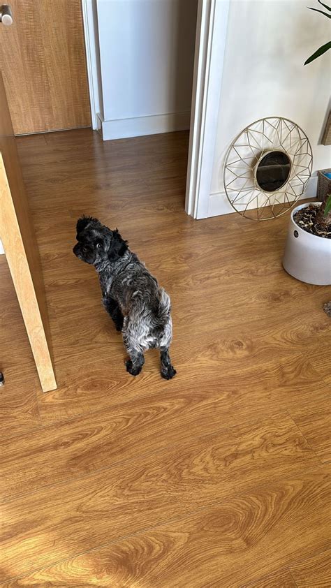 Iain Laybourne On Linkedin Searchingforfood Onthehunt