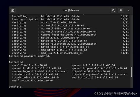 linux作业 csdn博客