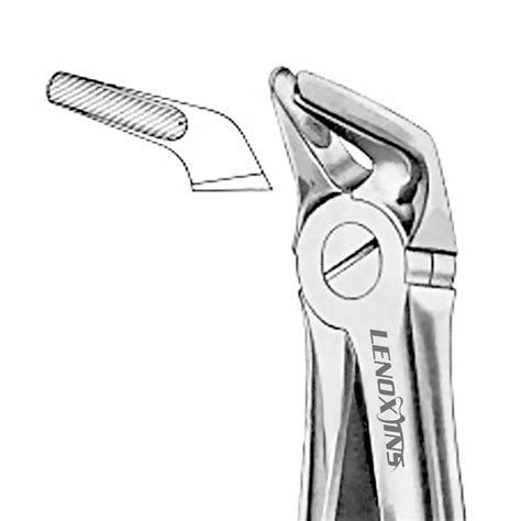 Extracting Forceps Fig8 Lower Premolars