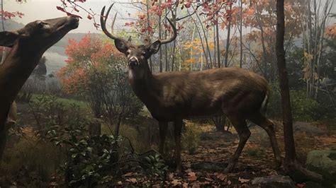 Writersblock2 0 — Imagine Two Twins Get Wrapped Up With The Volturi