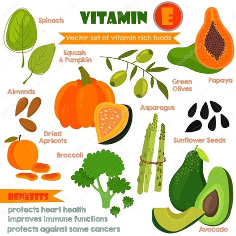Vitaminas Y Minerales Alimentos Set Ilustrador 13vector Conjunto De