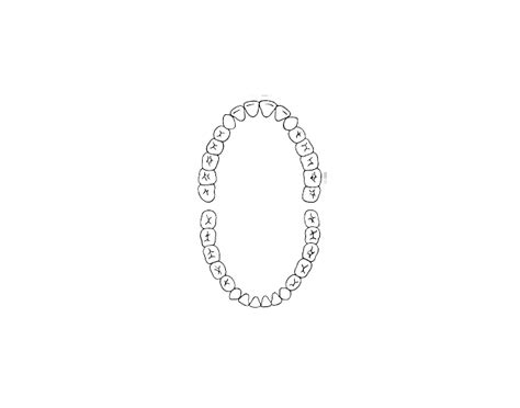 Permanent Dentition Fdi Notation System Dental Quiz